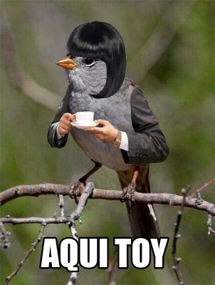 Meme Creator - Funny AQUI TOY Meme Generator at MemeCreator.org!
