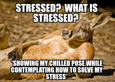 Meme Creator - Funny Stressed? What is stressed? *showing my chilled ...