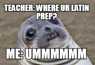 Awkward Seal Meme Blank