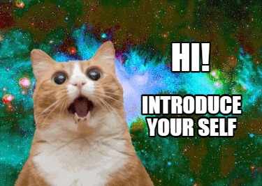 Introductions Memes New Intro By DryTransientThreshold35865