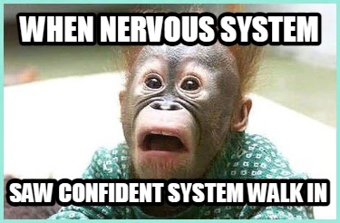 Meme Creator - Funny when nervous system saw confident system walk in ...