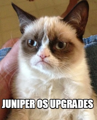 Meme Creator - Funny Juniper OS UPGRADES Meme Generator at MemeCreator.org!