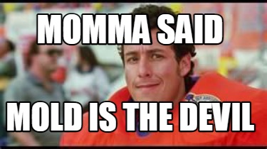 Meme Creator - Funny Momma Said Mold is the devil Meme Generator at ...