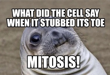 Memes On Mitosis 150 Best Cell Puns And Jokes The Ultimate Guide To