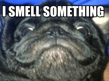 Meme Creator - Funny i smell something Meme Generator at MemeCreator.org!