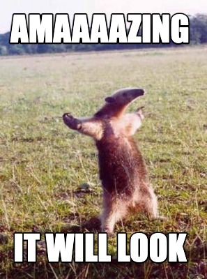 Meme Creator - Funny AMAAAAZING IT WILL LOOK Meme Generator at ...