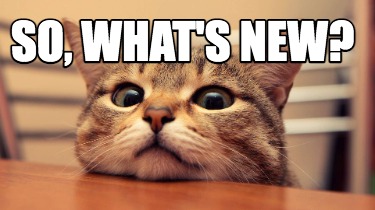 Meme Creator - Funny So, What's NEW? Meme Generator at MemeCreator.org!