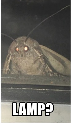 Meme Creator - Funny Lamp? Meme Generator at MemeCreator.org!