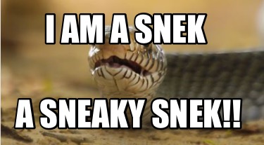 Sneaky Snakes Memes Meme Creator Funny My Name Is Bobby And I Am A