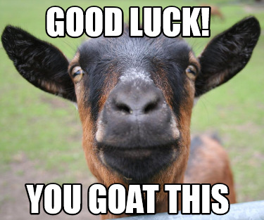 Good Luck You Got This Meme