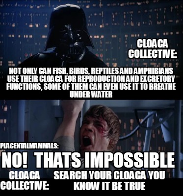 Meme Creator - Funny not only can fish, birds, reptiles and amphibians ...