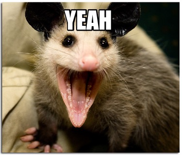Meme Creator - Funny Addy when she finds a new possum meme Meme ...