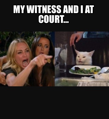 Meme Creator - Funny My Witness and I at court… Meme Generator at ...