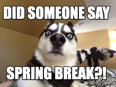 Meme Creator - Funny Did someone say Spring break?! Meme Generator at ...