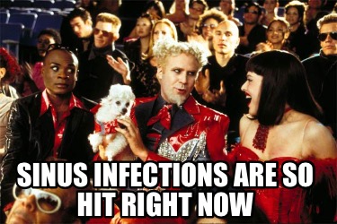 Zoolander Meme So Hot Right Now