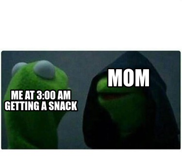 Meme Creator - Funny Mom Me at 3:00 am getting a snack Meme Generator ...