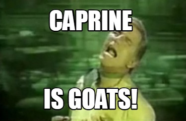Meme Creator - Funny Caprine is goats! Meme Generator at MemeCreator.org!