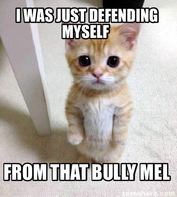 Meme Creator - Funny I was just defending myself From that bully Mel ...