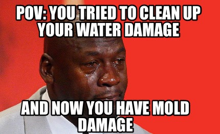 Meme Creator - Funny POV: you tried to clean up your water damage And ...