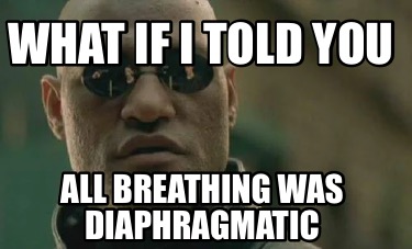 Meme Creator - Funny What if I told you All breathing was diaphragmatic ...