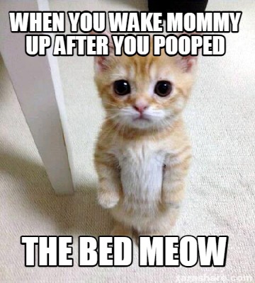 You Pooped Meme