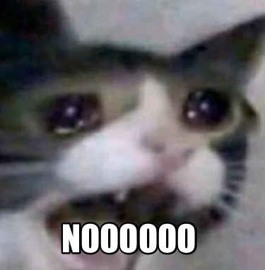 Meme Creator - Funny NOOOOOO Meme Generator at MemeCreator.org!