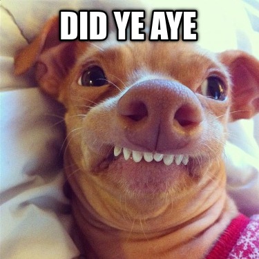 Meme Creator - Funny DID ye Aye Meme Generator at MemeCreator.org!