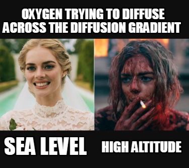 Meme Creator - Funny oxygen trying to diffuse across the diffusion ...