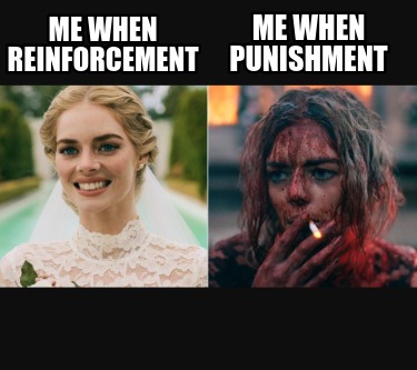Meme Creator - Funny Me when reinforcement Me when punishment Meme ...