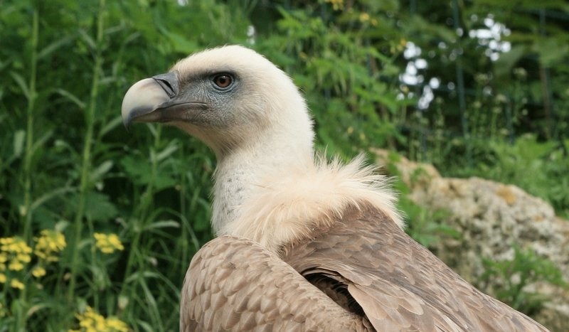 Meme Creator - sup Meme Generator at MemeCreator.org!