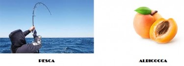 Meme Creator - rebus Meme Generator at MemeCreator.org!